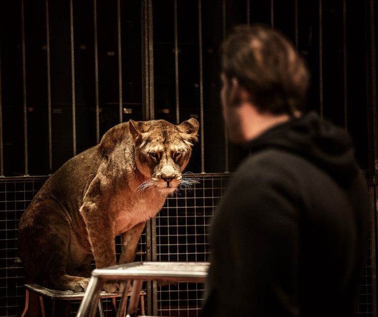Ban Animal Circuses – AnimalKIND