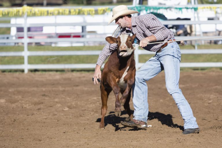 Rethink Rodeos – AnimalKIND