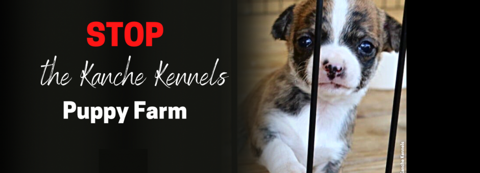 Stop the Kanche Kennels Puppy Farm | AnimalKIND