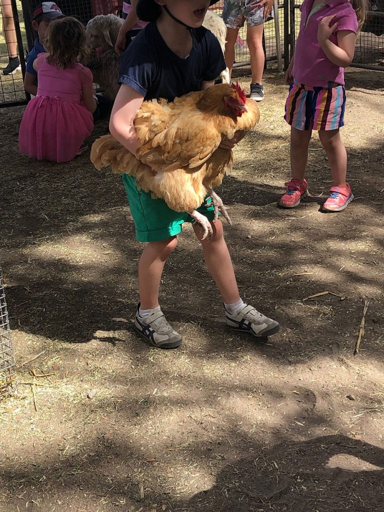 Stop Petting Zoos – AnimalKIND